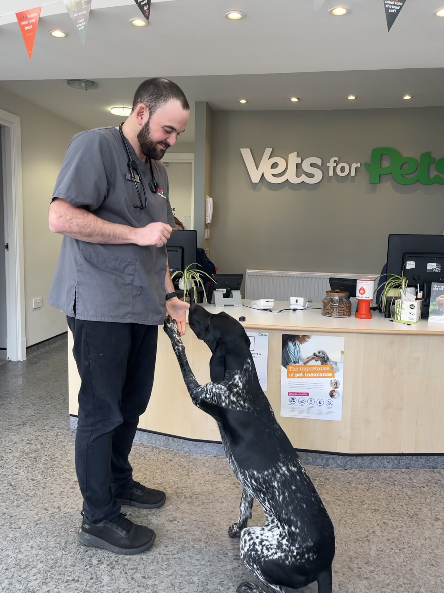 Practice Owner Journeys