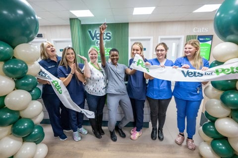 New Practice Openings